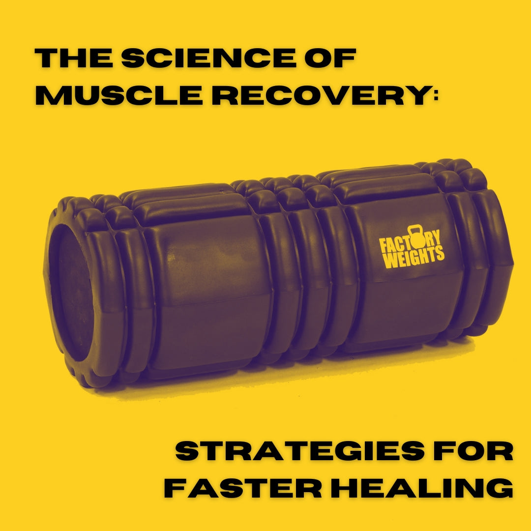 The Science of Faster Muscle Recovery | Factory Weights