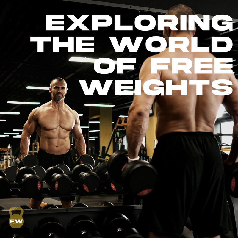 Exploring the Wide World of Free Weights | Factory Weights