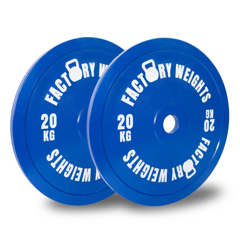 Factory Weights Calibrated Plates (Pair)