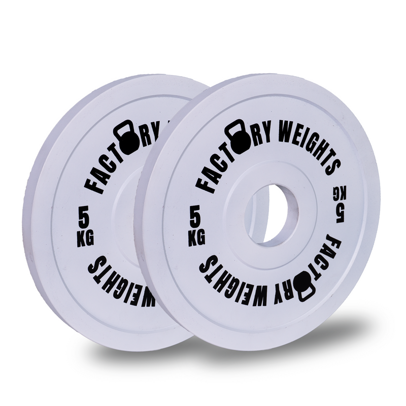 Factory Weights Calibrated Plates (Pair)