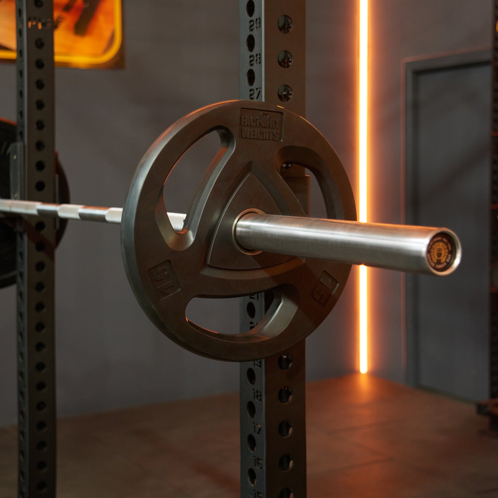 Weight Plates for Sale Online - Shop Now | Factory Weights