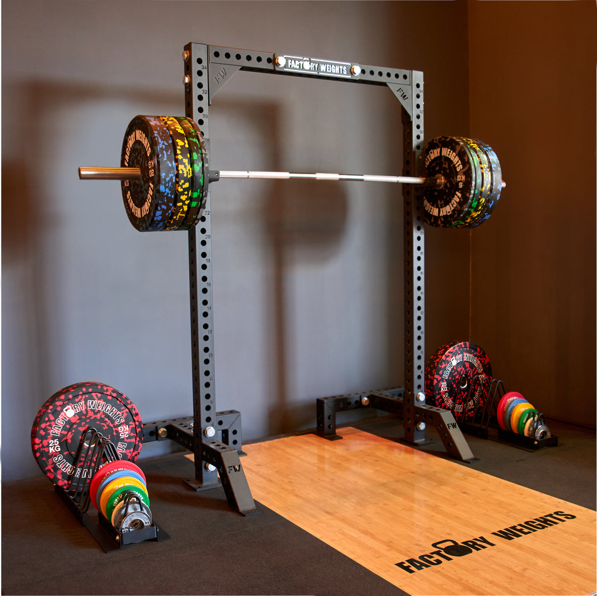Dual Toaster Rack - Bumper Plate Storage | Factory Weights