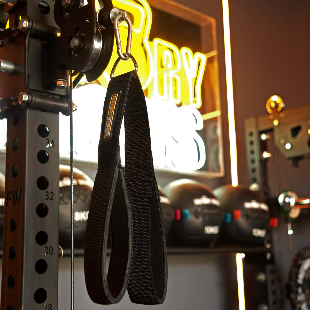 Pro Tricep Strap