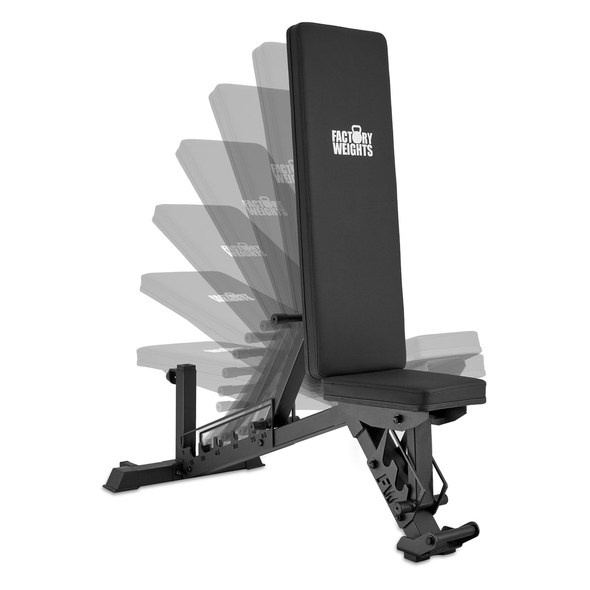 Elite Adjustable Bench - Easy Storage | Factory Weights